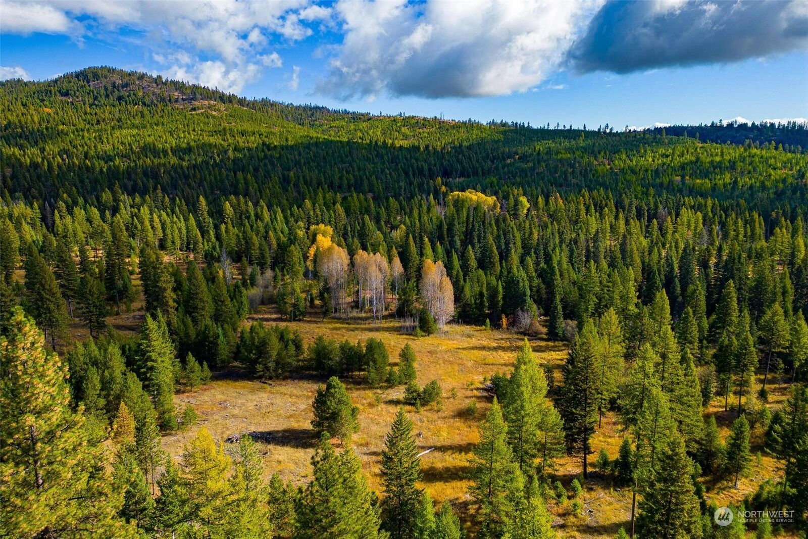 MLS#2173610: 0 Sheridan Road, Republic, WA 99166