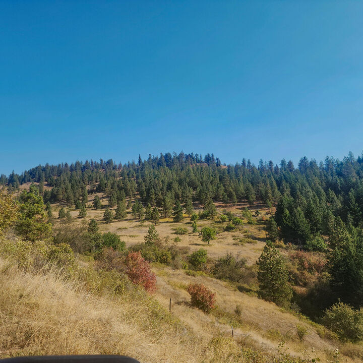 MLS#45287: Tbd Gold Hill Rd, Kettle Falls, WA 99141